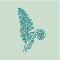 Services and Rates – Megan Holm, LMFT, SEP